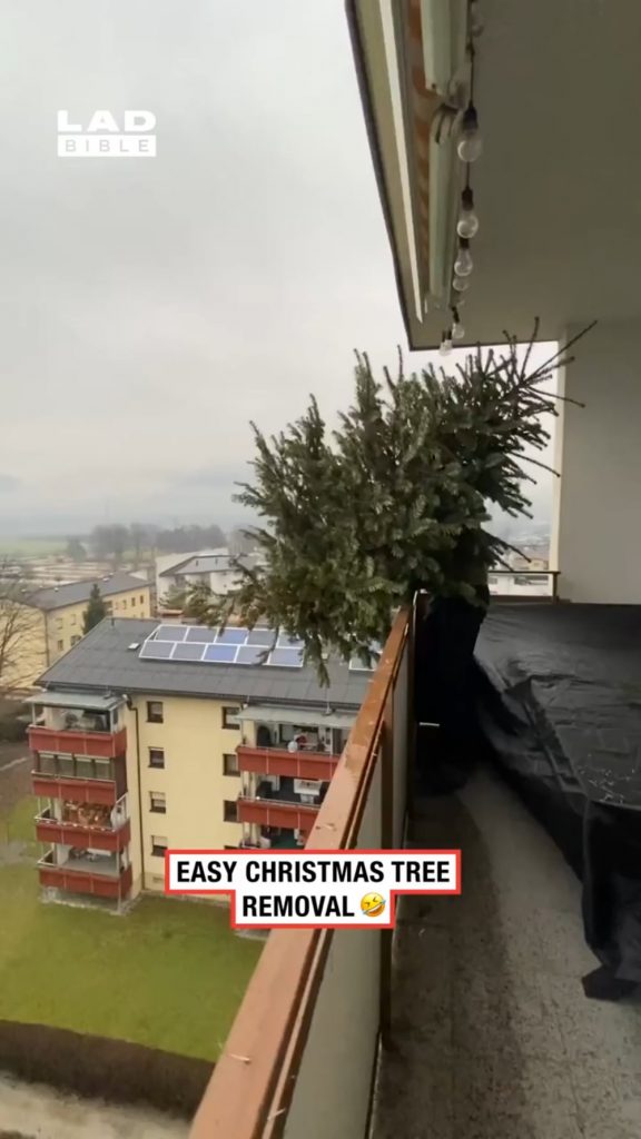 This Christmas tree landed perfectly upright – Oddly Satisfying: Viral ...